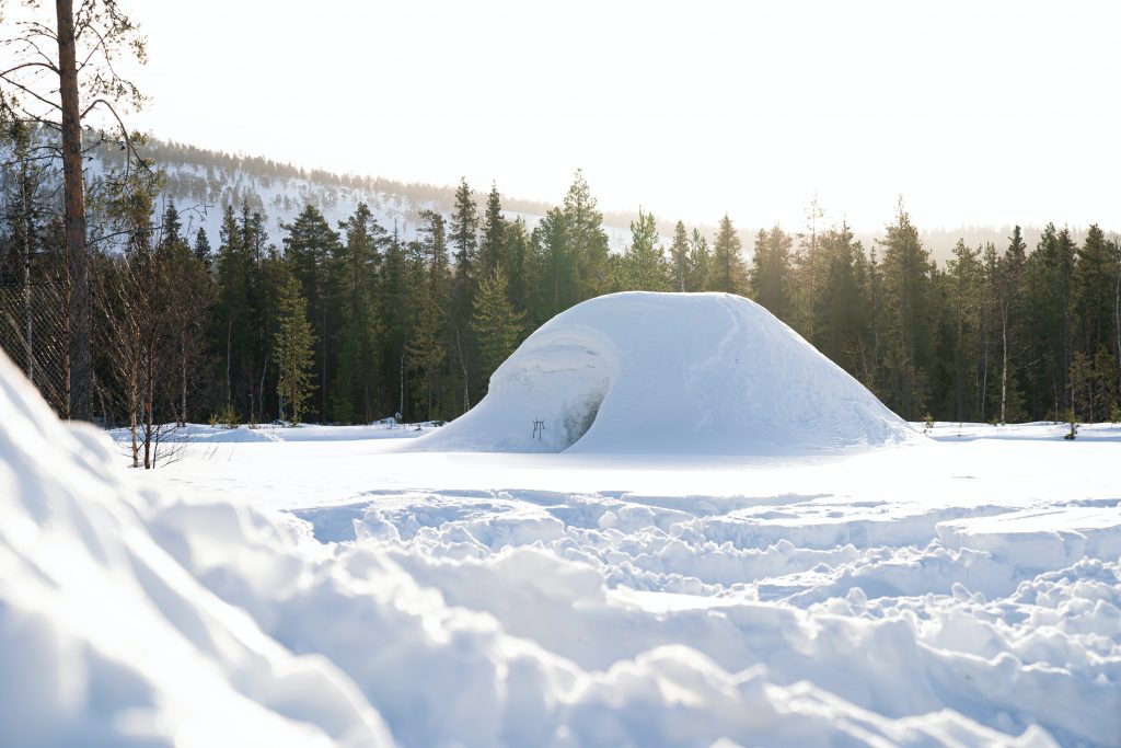 How to Build an Igloo – Real Academic Essays: STEM